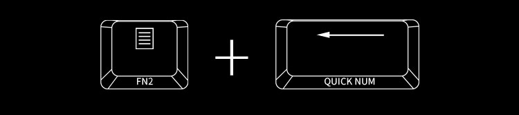 ANNE CLASSIC D87 RGB - HEXCORE